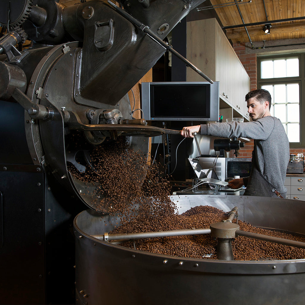 Custom Roaster Series – Phil & Sebastian Coffee Roasters