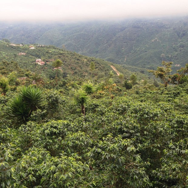 Innovating in Huehue: Seb Visits Paty Perez – Phil & Sebastian Coffee ...