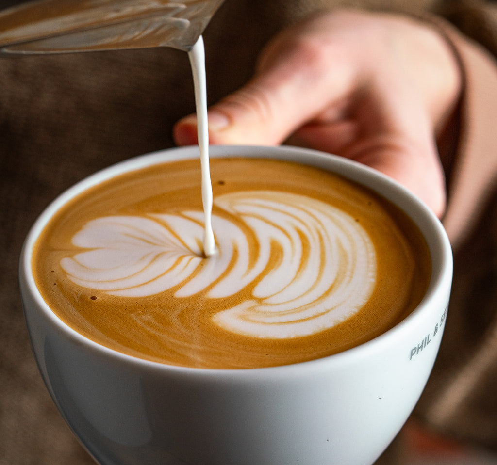 Class: Intro to Latte Art & Steaming – Phil & Sebastian Coffee Roasters