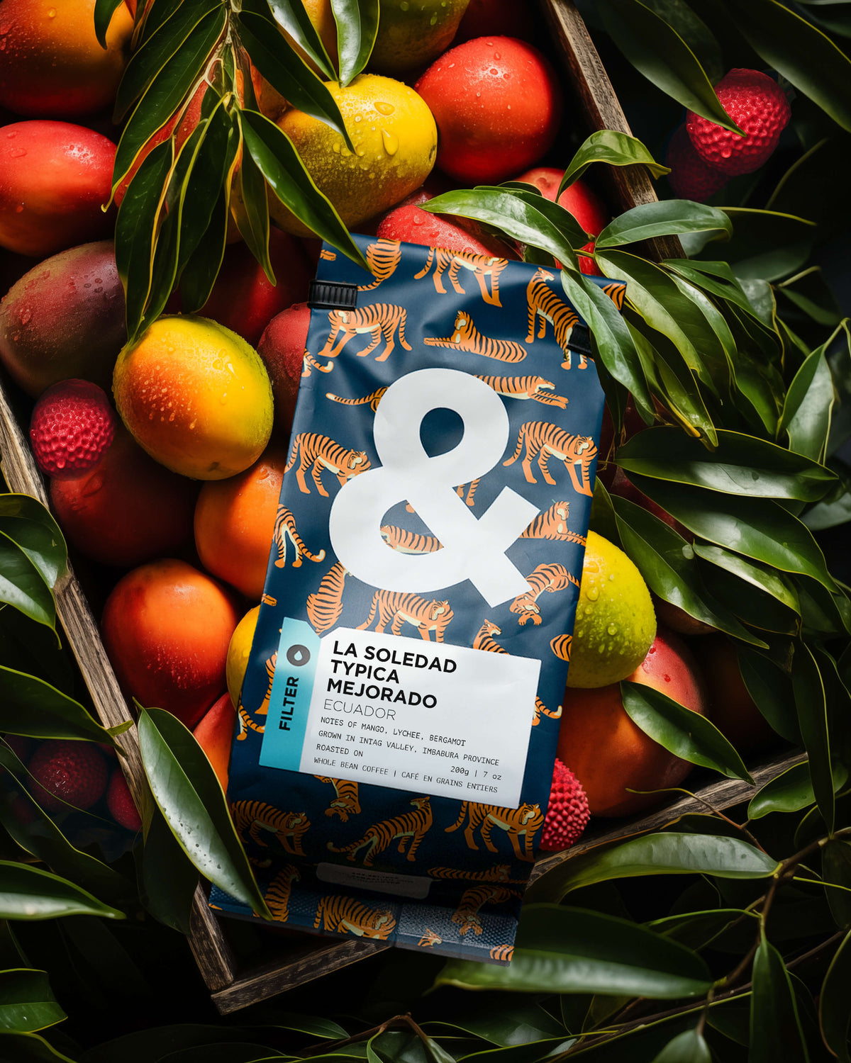 calgary-place – Phil & Sebastian Coffee Roasters